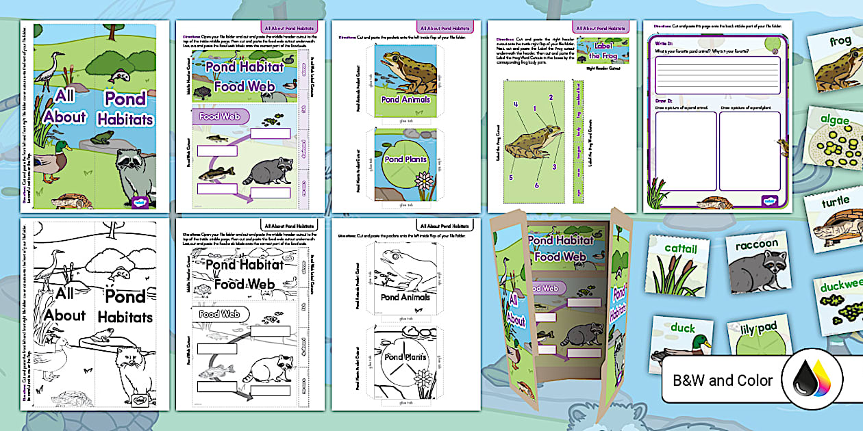 Kindergarten All About Pond Habitats Trifold File Folder