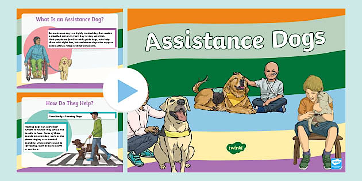Assistance Dogs PowerPoint | SEN Home Education | Twinkl