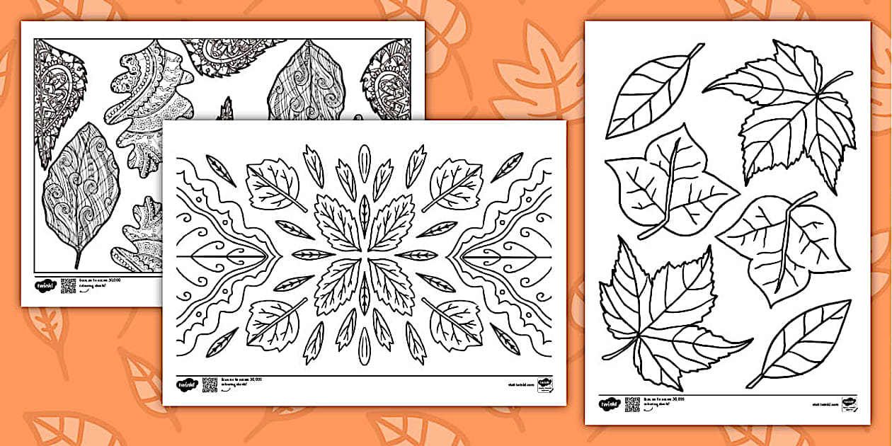 Autumn Leaves Mindfulness Colouring - Wellbeing - The Seasons