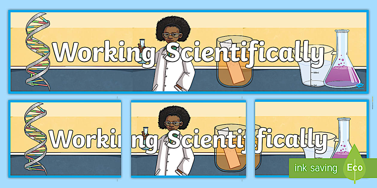 Working Scientifically Display Banner (teacher made)