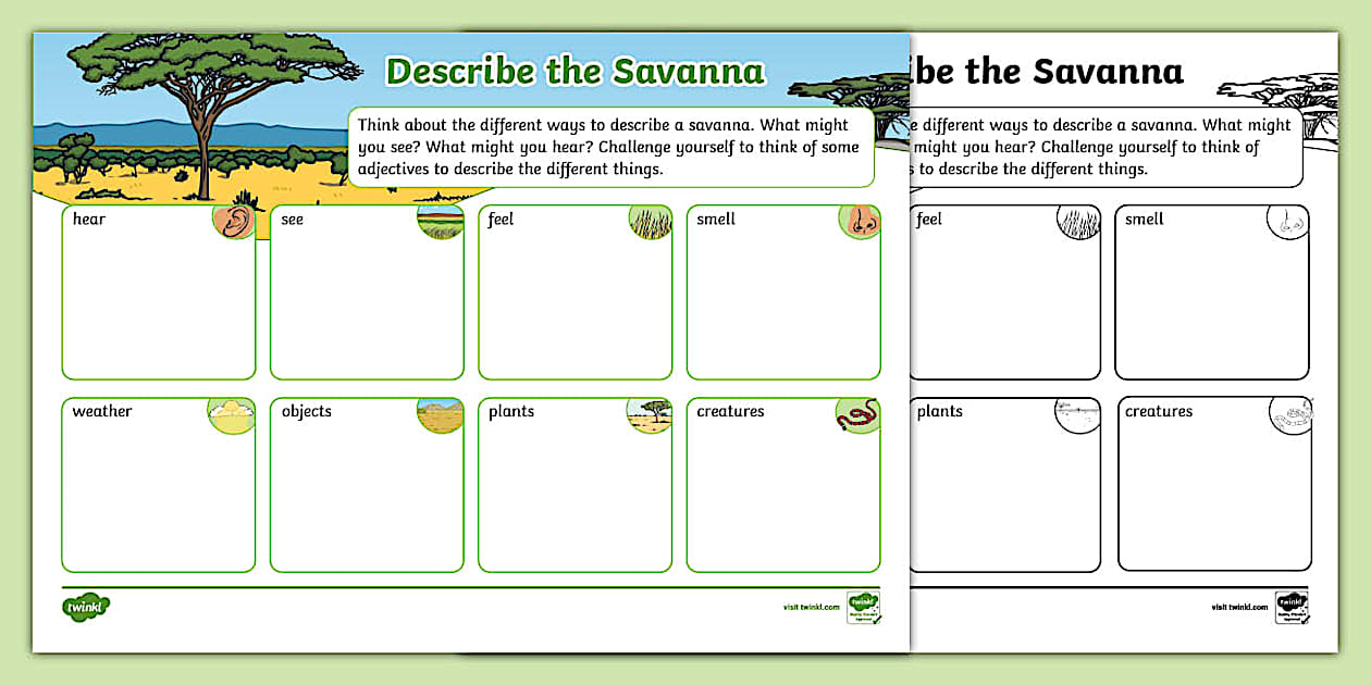 The Savanna Adjectives Worksheet (teacher made) - Twinkl