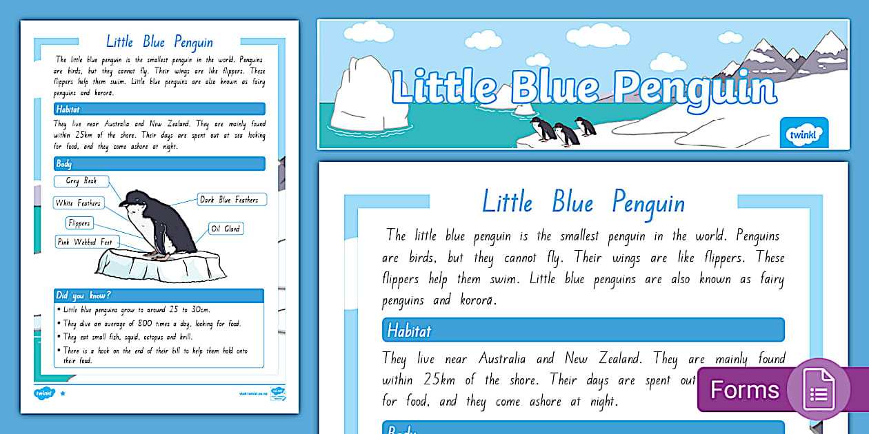 New Zealand Little Blue Penguin Reading Comprehension