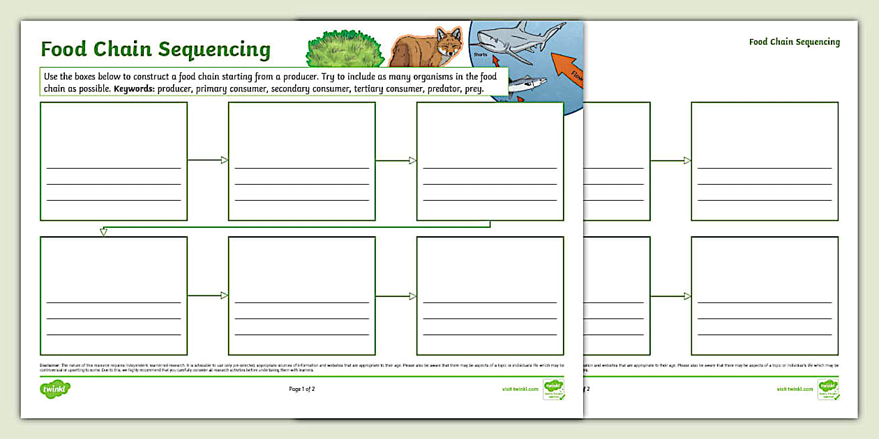 Food Chain Sequencing Mind Map (teacher made) - Twinkl