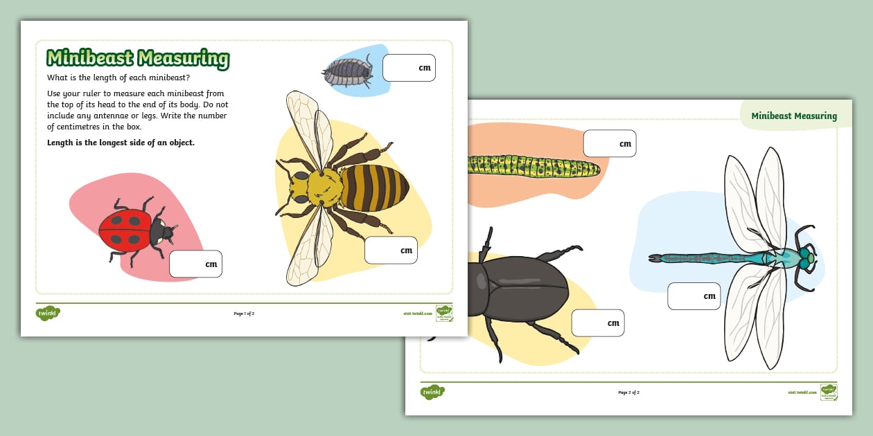 Minibeast Measuring in Centimetres Activity - Twinkl - KS1