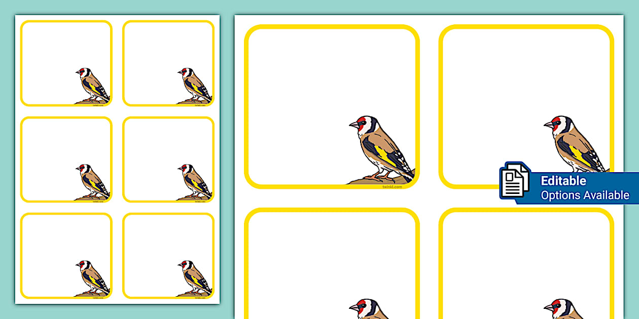 Editable Goldfinch Peg Labels (teacher made) - Twinkl