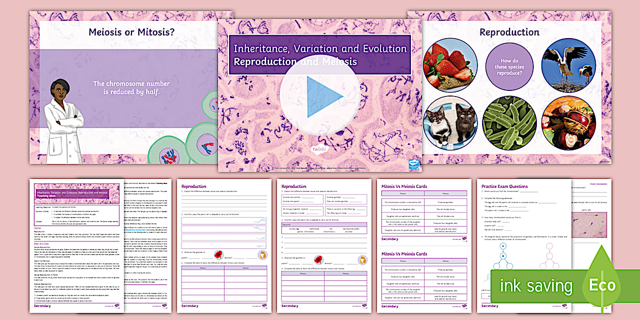 AQA Inheritance, Variation and Evolution Lesson 1: Reproduction and Meiosis