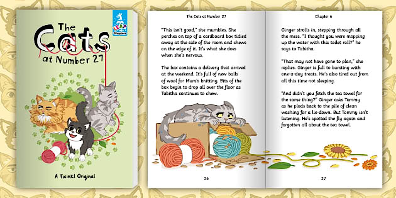 Children's cat book | Bedtime story about Cats | Twinkl