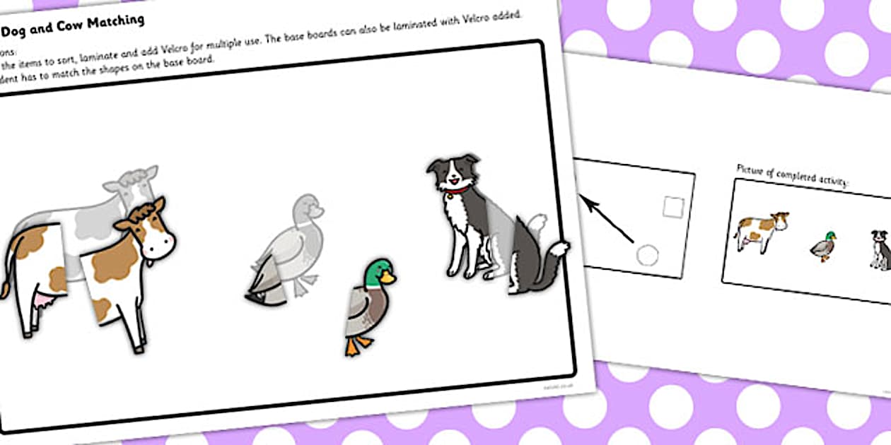 Workstation Pack Animal Matching Set 2 (teacher made)