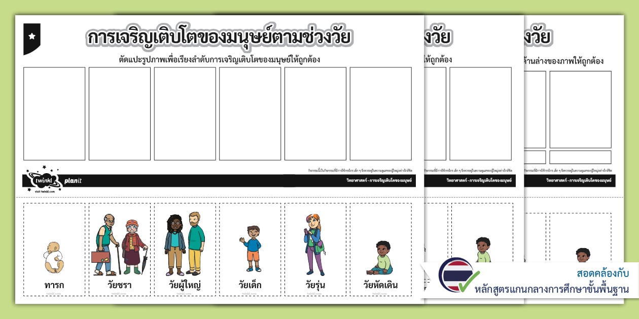 ใบงานเรียงลำดับการเจริญเติบโตของมนุษย์ - Human Growth Timeline Worksheet