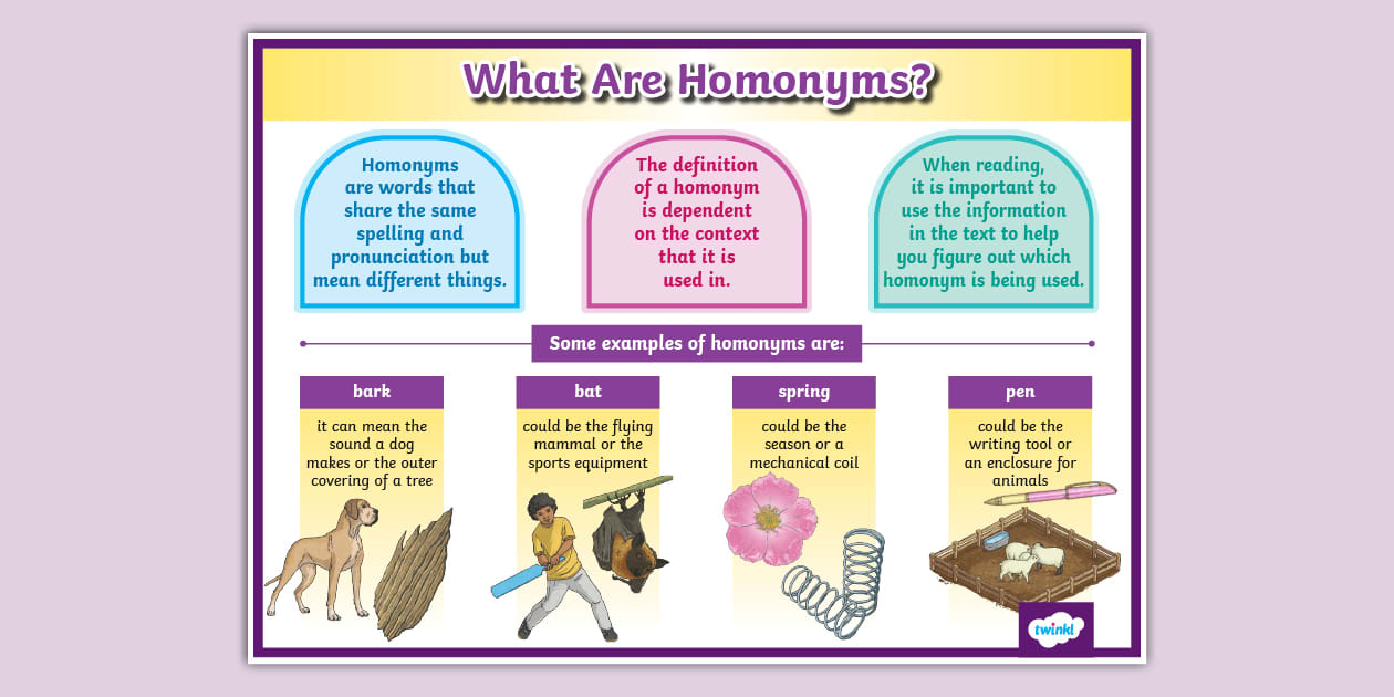 What Are Homonyms? Display Poster (teacher made) - Twinkl