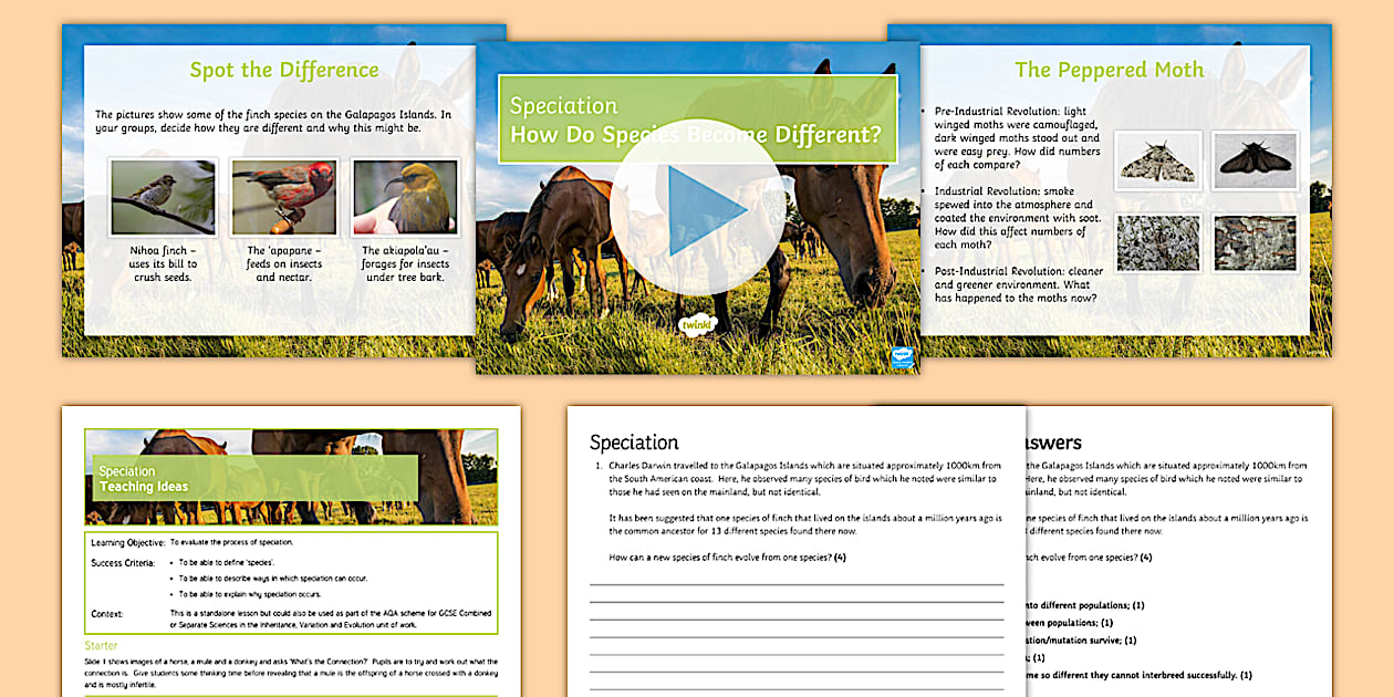 Speciation Lesson Pack (teacher made) - Twinkl