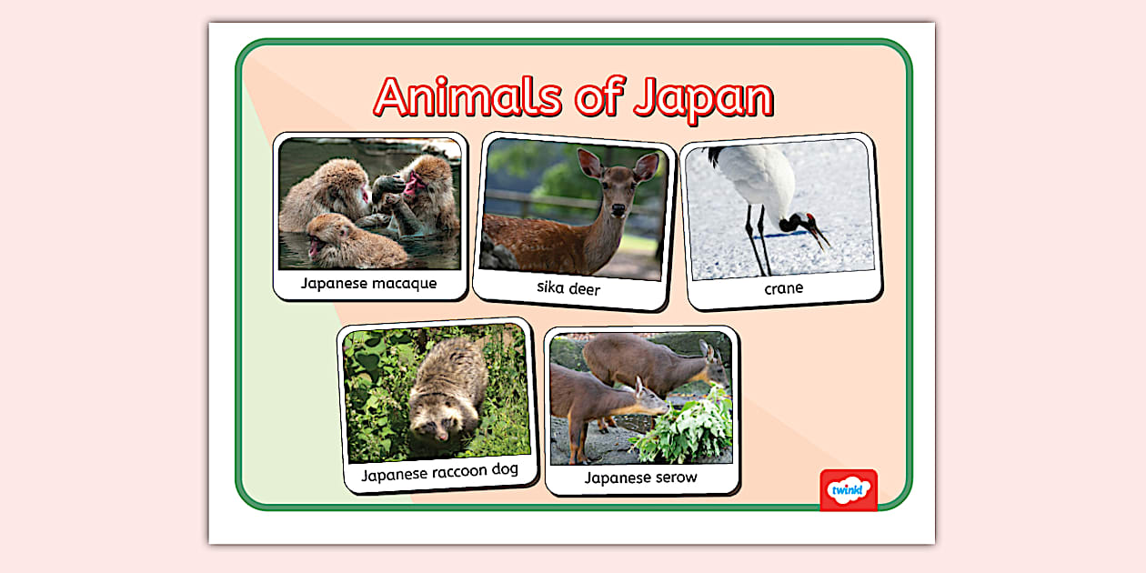 Animals of Japan Photo Display Poster (Teacher-Made)