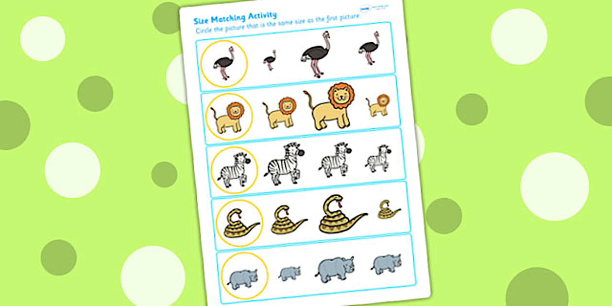 Safari Size Matching Worksheets (teacher made) - Twinkl