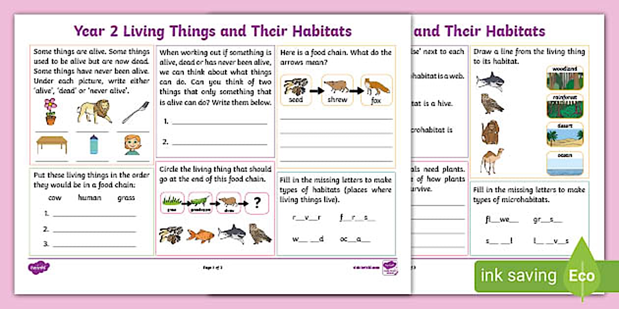 KS1 Year 2 Living Things and Their Habitats Revision Activity Mat