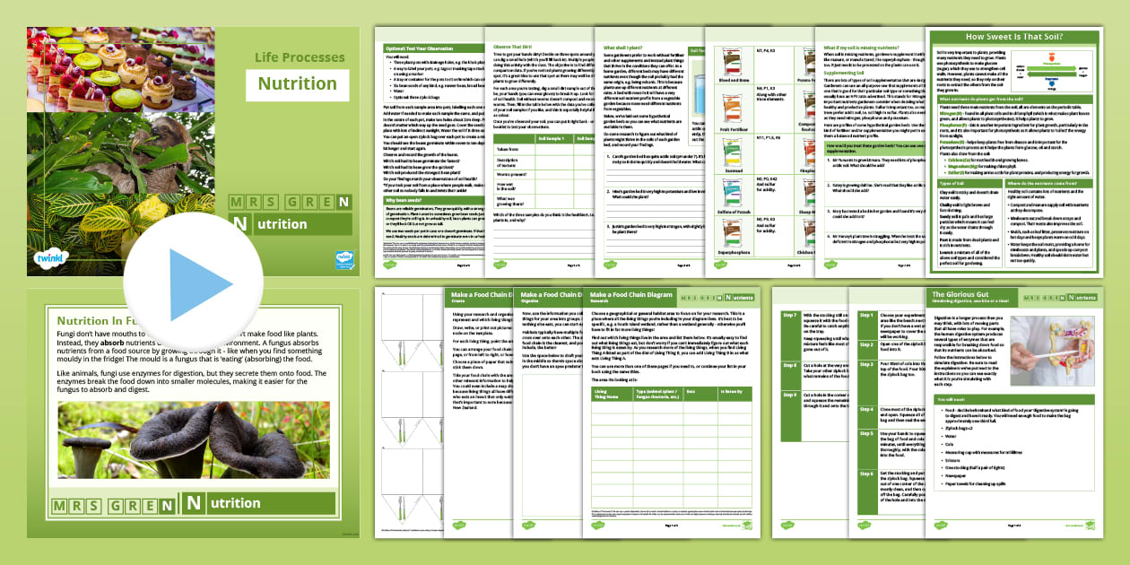 Year 5-8 Life Processes - Nutrition Pack - Twinkl