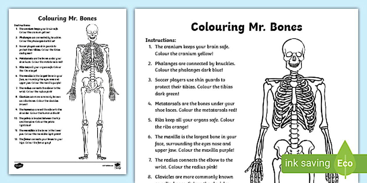 Colouring Mr. Bones Worksheet / Worksheet - Twinkl