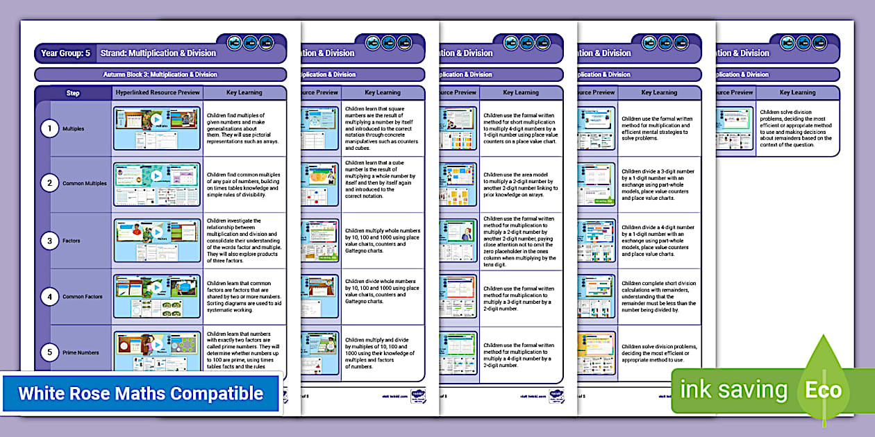 👉 Year 5 Multiplication and Division Lesson Planning Overview