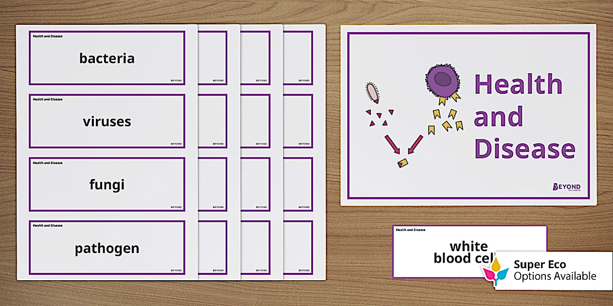 Health and Disease Word Wall | Display Resources | Beyond
