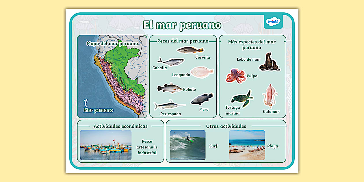 Lámina: El mar peruano | Materiales Educativos Twinkl Perú
