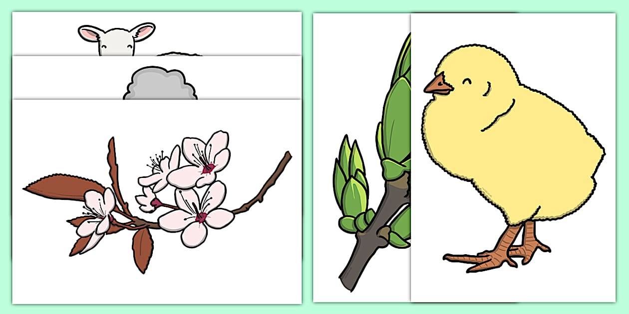 Spring Season Images Pack - Teacher-made Primary Resource