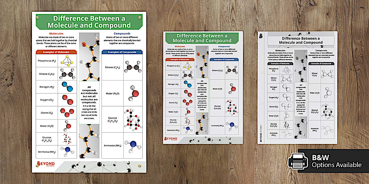 Difference Between a Molecule and Compound Poster and Student Handout
