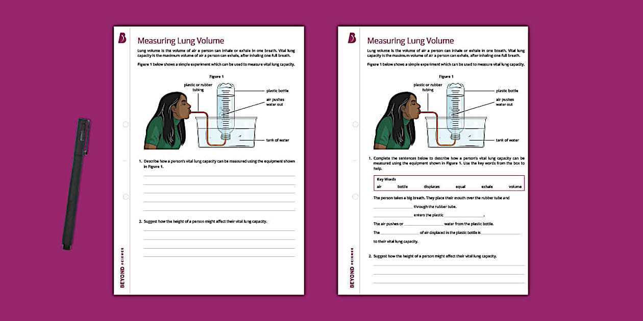 Measuring Lung Volume Worksheet | Beyond Science - Twinkl