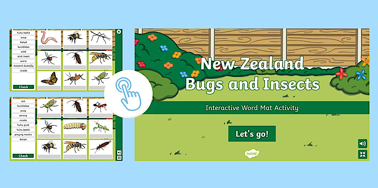 New Zealand Bugs and Insects Interactive Word Mat - Twinkl