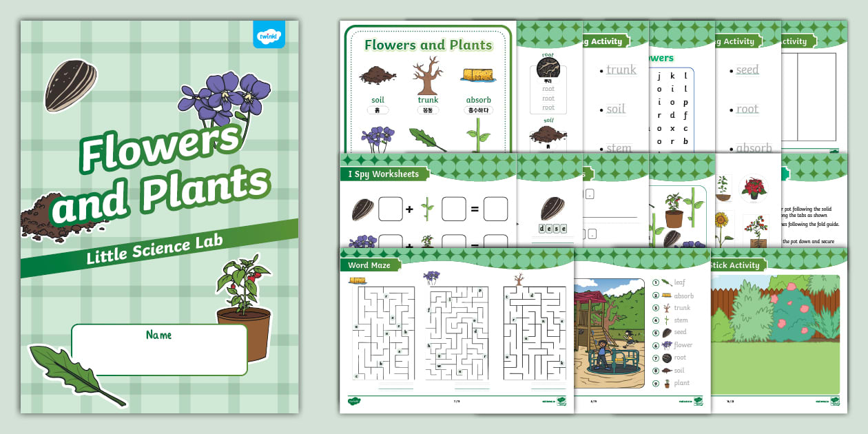 [초등영어 방학특강] 꼬마 과학자 연구소: 꽃과 식물 Little Science Lab: Flowers and Plants
