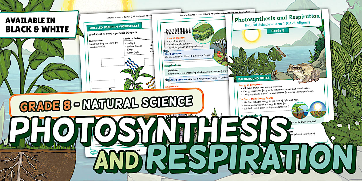Grade 8 NS - Term 1 - Photosynthesis and Respiration (CAPS)