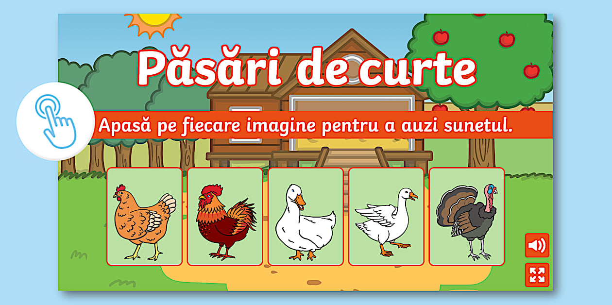 Păsări de curte – Ascultă sunetul online
