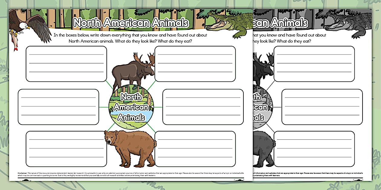 North American Animals Mind Map - Twinkl Writing - Twinkl