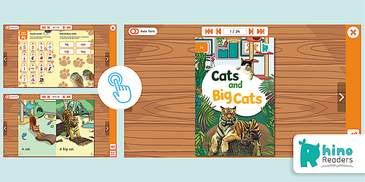 Level 2b Decodable Readers: Cats and Big Cats - Twinkl