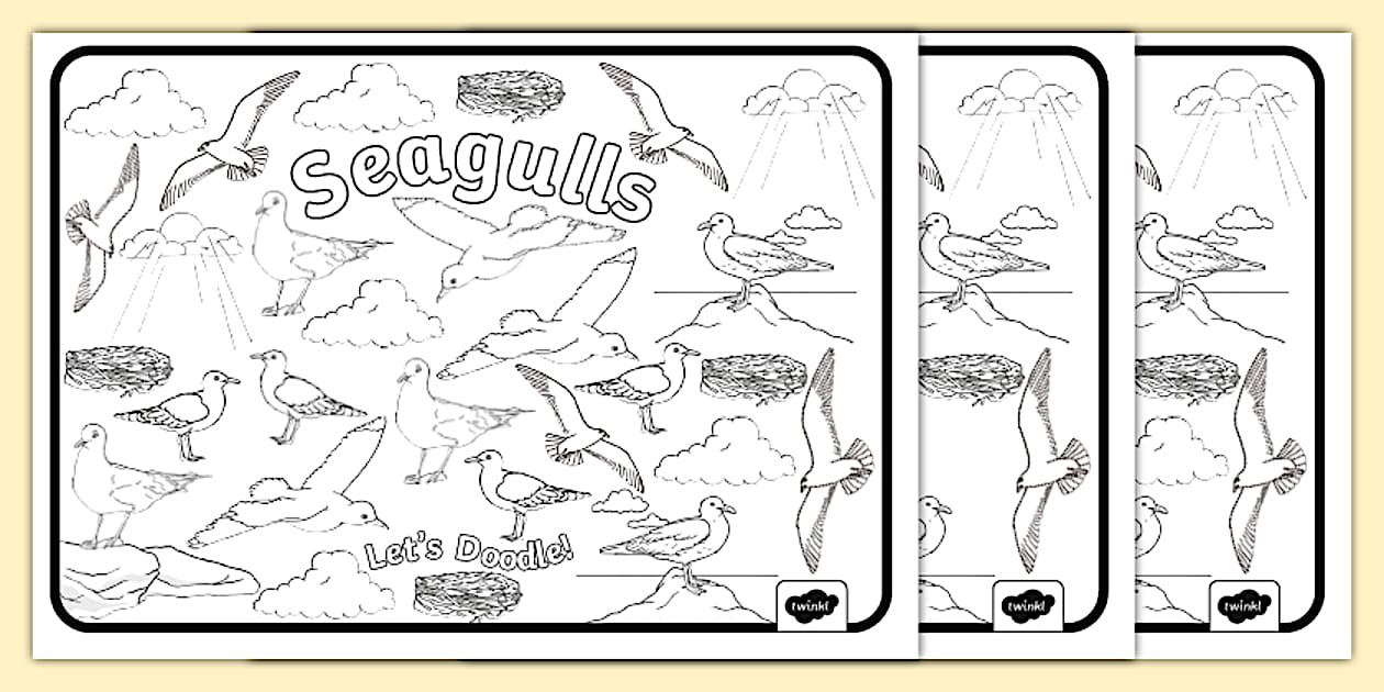 Seagulls Doodle Colouring Pages - Twinkl - KS1 - Twinkl