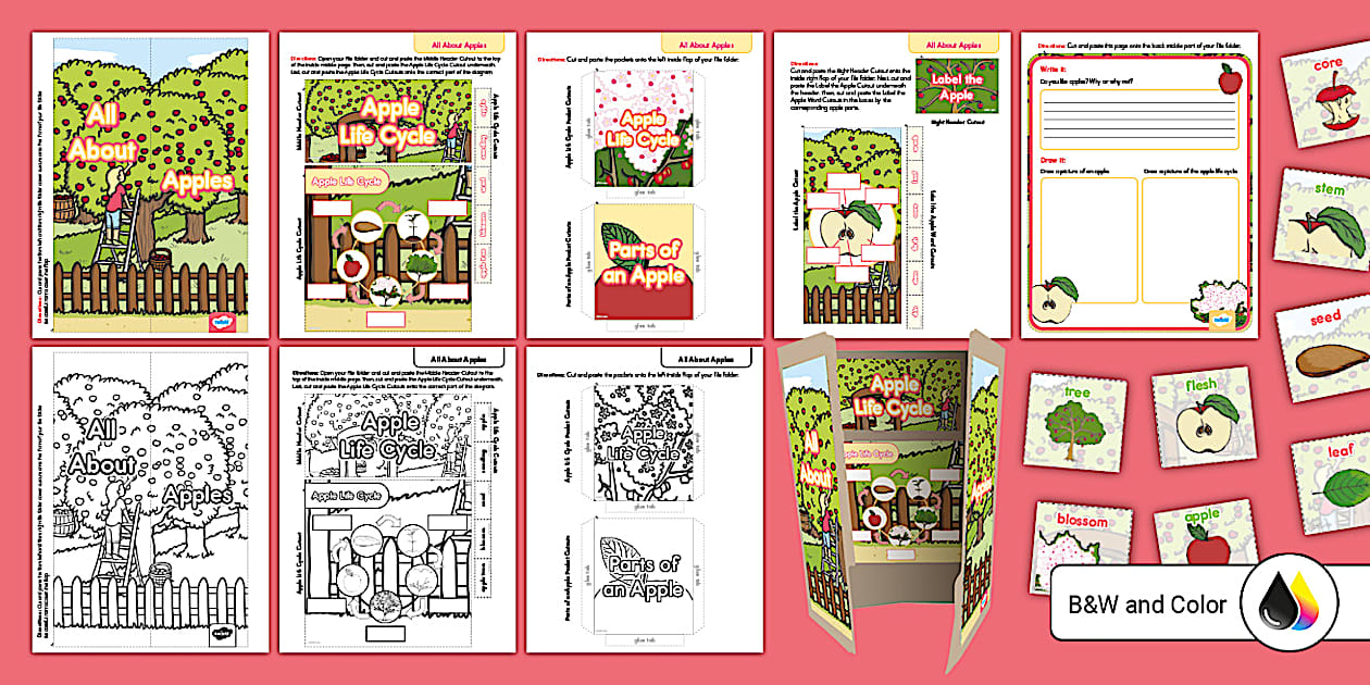 Kindergarten All About Apples Trifold File Folder Activity