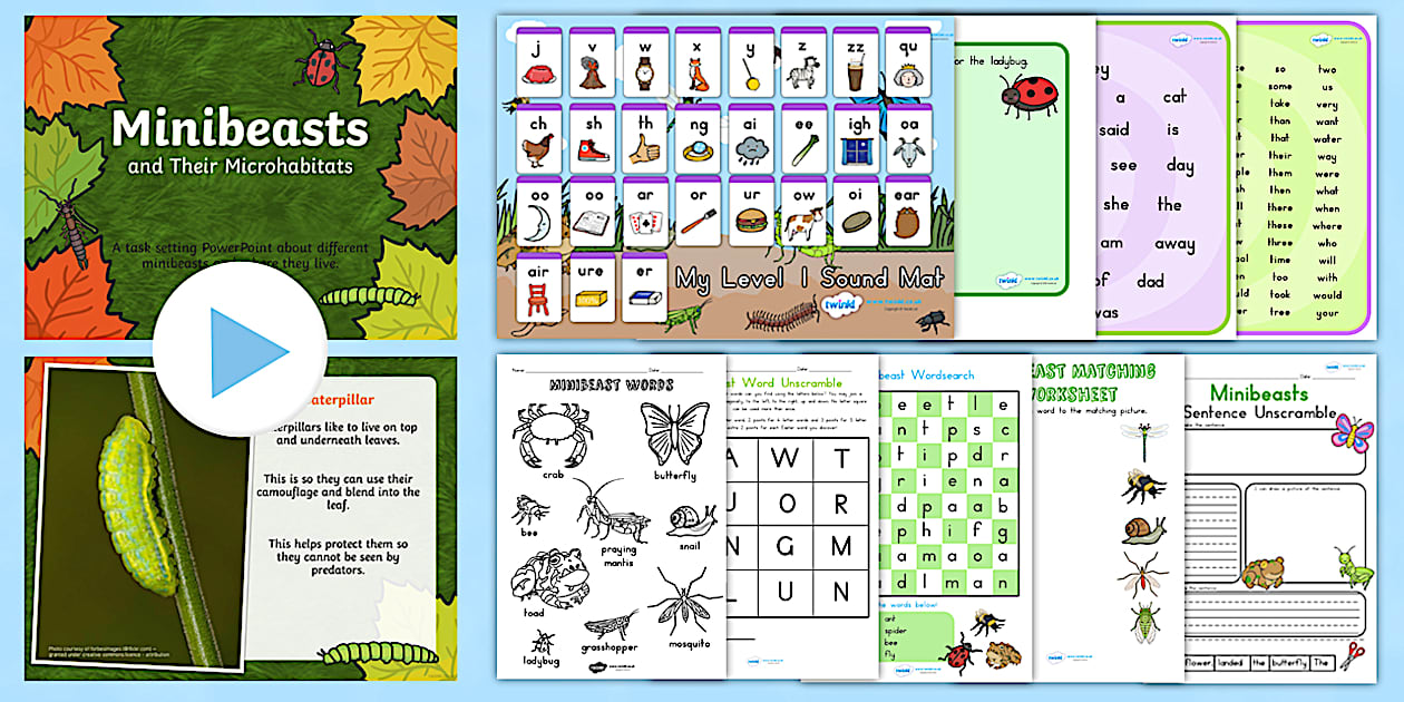 Australia Minibeast Literacy Resource Pack (Teacher-Made)