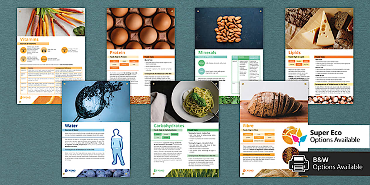Food Groups Information Posters | KS3 Biology | Beyond