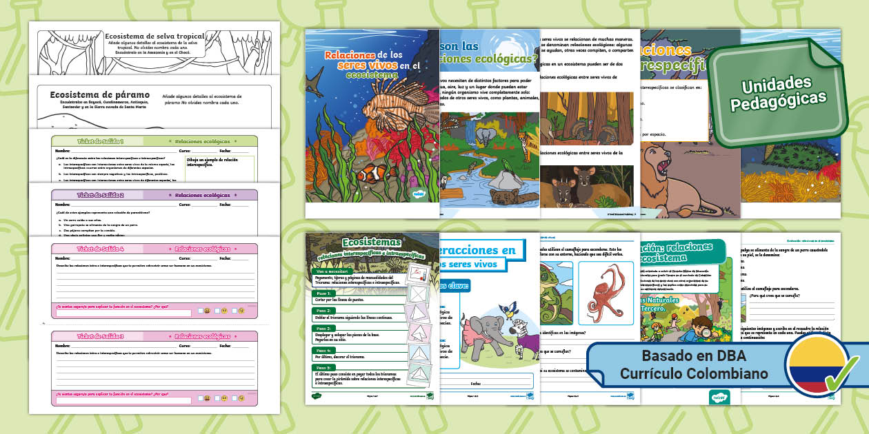 Recursos DBA ciencias naturales grado 3°- Twinkl Colombia