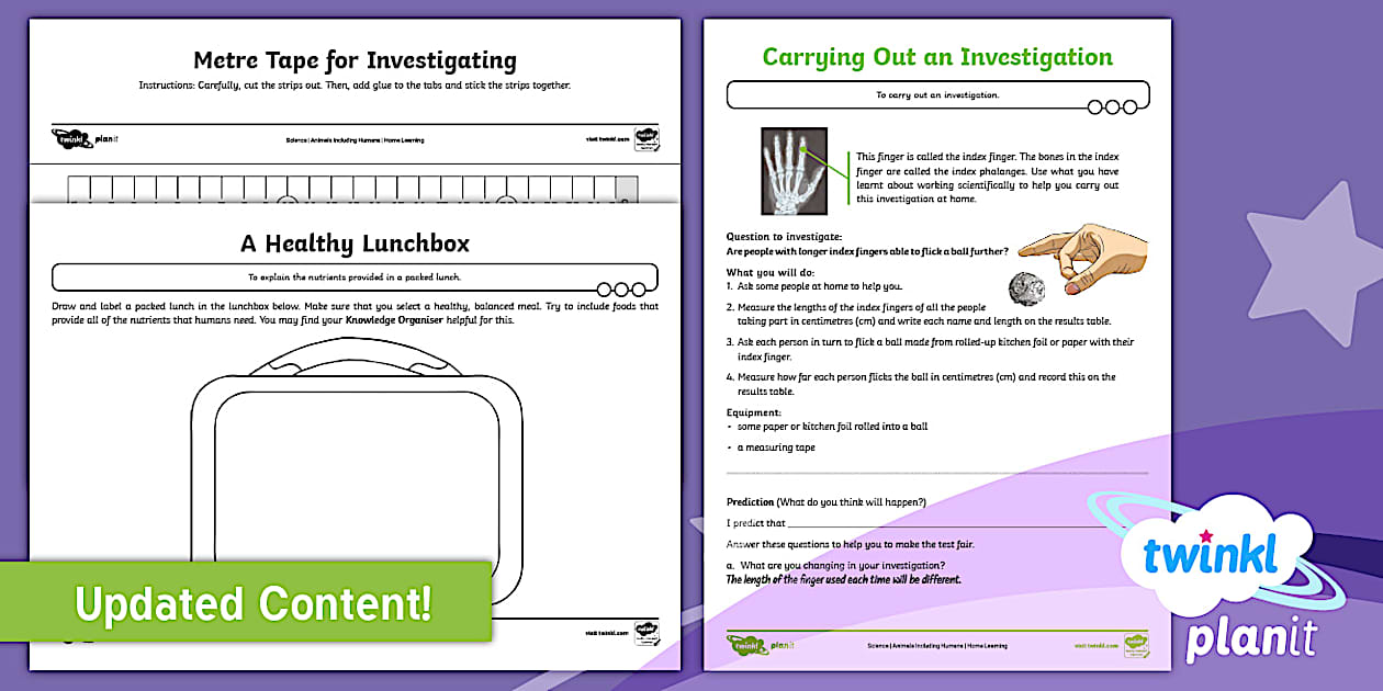 Science Investigations To Do At Home | Year 3 Science Pack