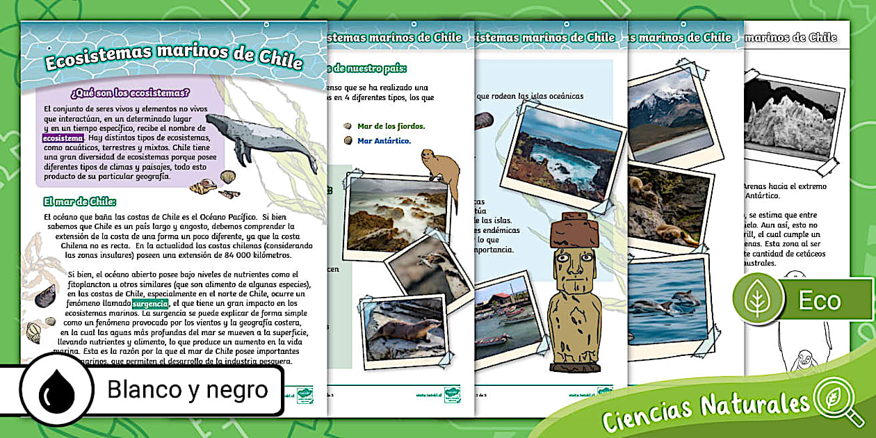 Ficha Informativa ecosistemas marinos de Chile