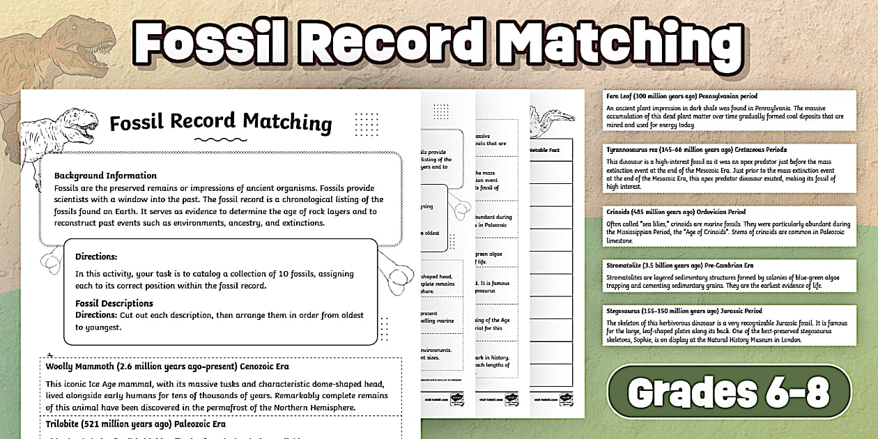 Fossil Record Matching Activity for 6th-8th Grade