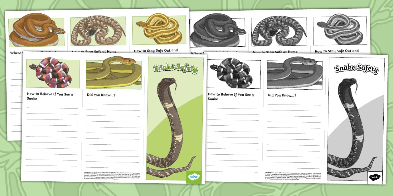 Snake Safety Leaflet Template - Twinkl Writing - Twinkl