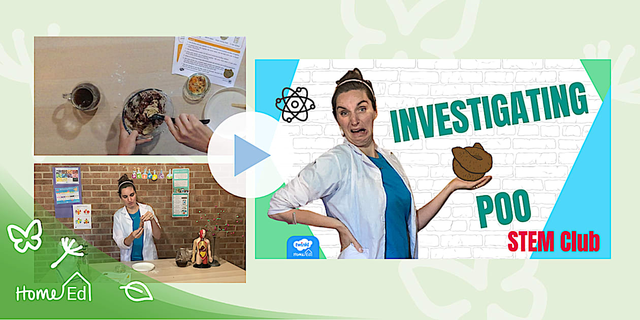 Investigating Ancient Poo (teacher made) - Twinkl