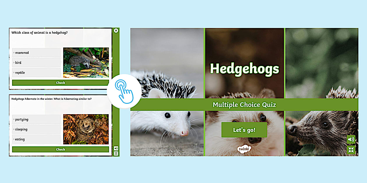 Interactive Hedgehog Quiz (Teacher-Made) - Twinkl