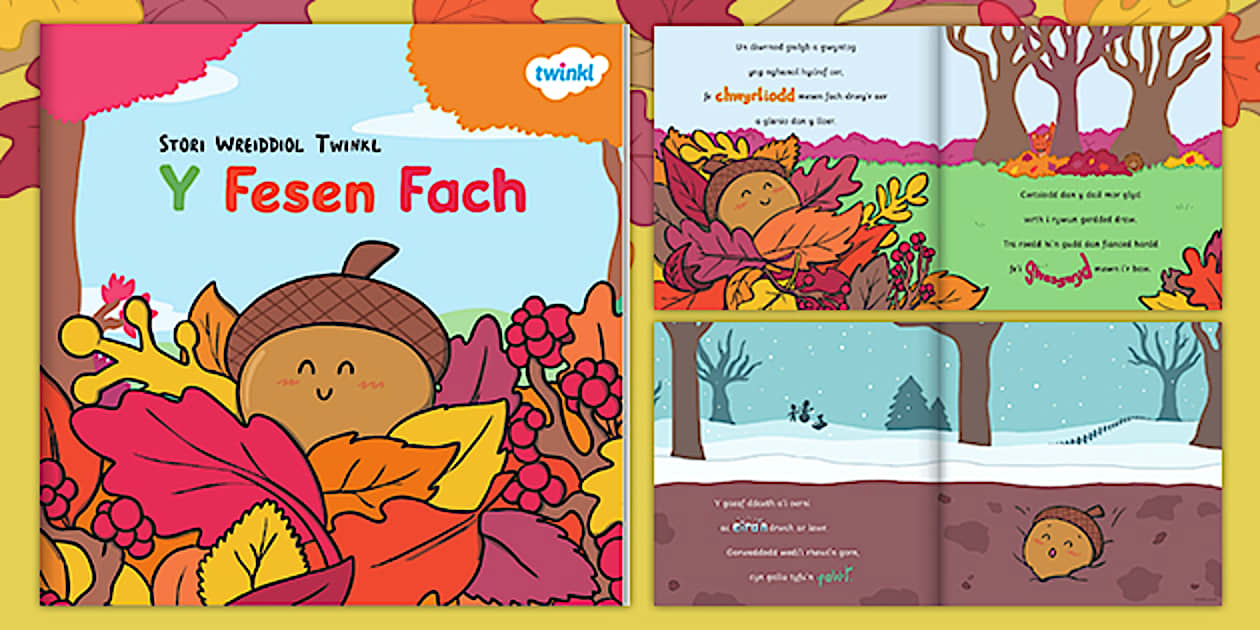 eLyfr Y Fesen Fach (teacher made) - Twinkl