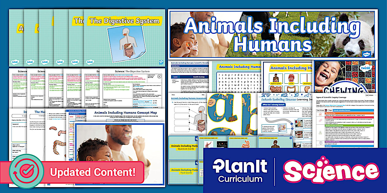 Year 4 Animals Including Humans Unit Pack