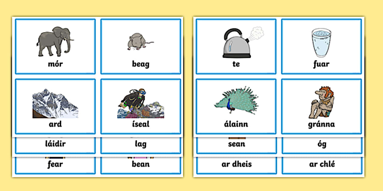 Gaeilge Opposites Matching Cards | Twinkl | (teacher made)
