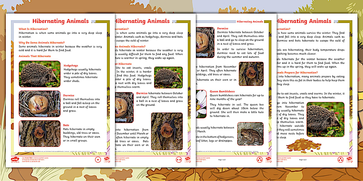 Hibernating Animals Non-Fiction Fact File (teacher made)