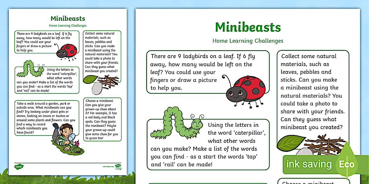 Minibeasts Home Learning Challenges Reception FS2 - Twinkl