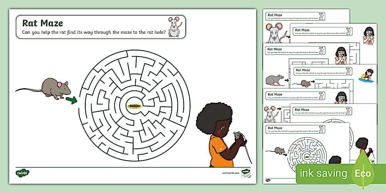 Rat Maze Activity Worksheets | Twinkl | Puzzles | KS1