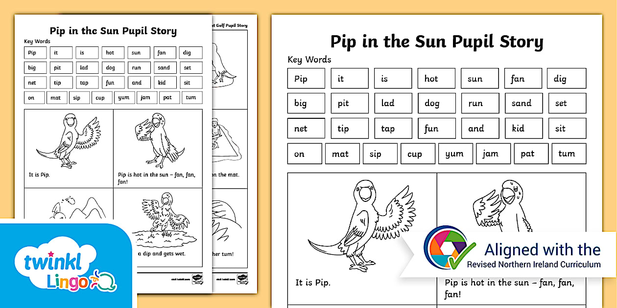 Pip in the Sun Pupil Story Activity Sheet (Teacher-Made)
